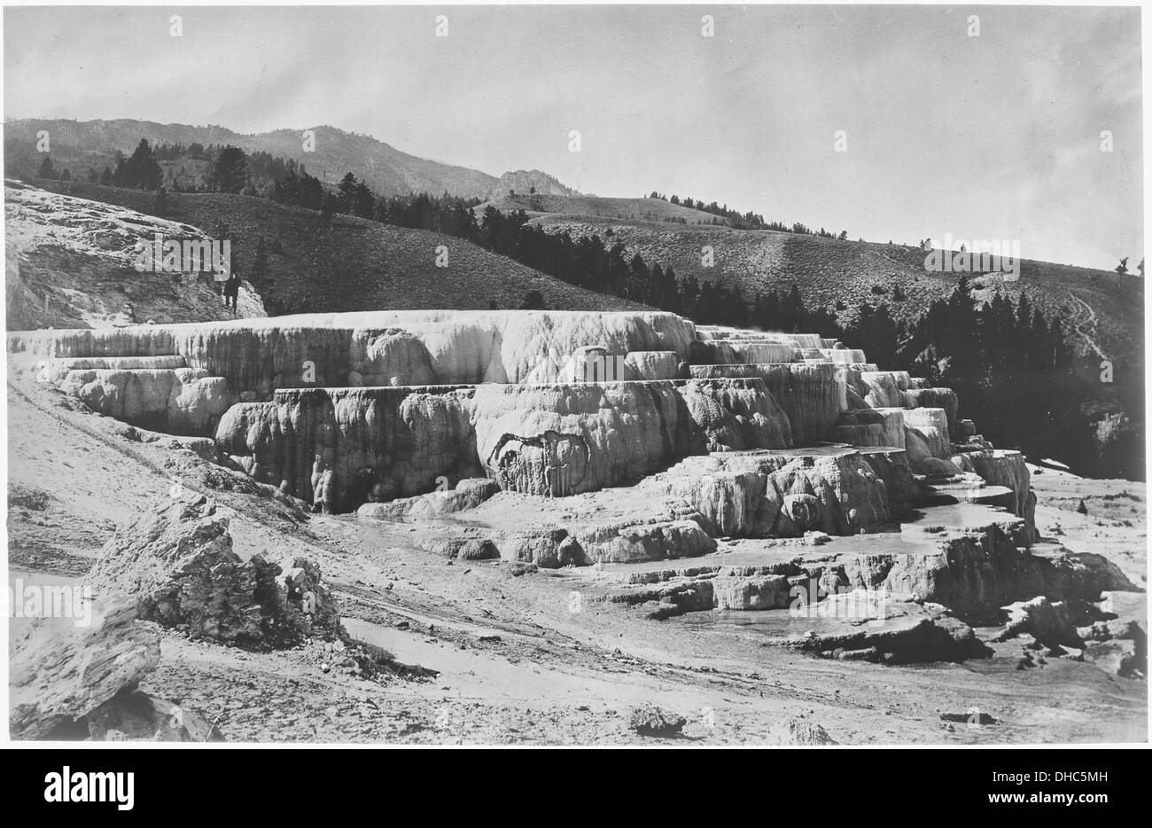 Minerva terrace mammoth hot springs Black and White Stock Photos ...