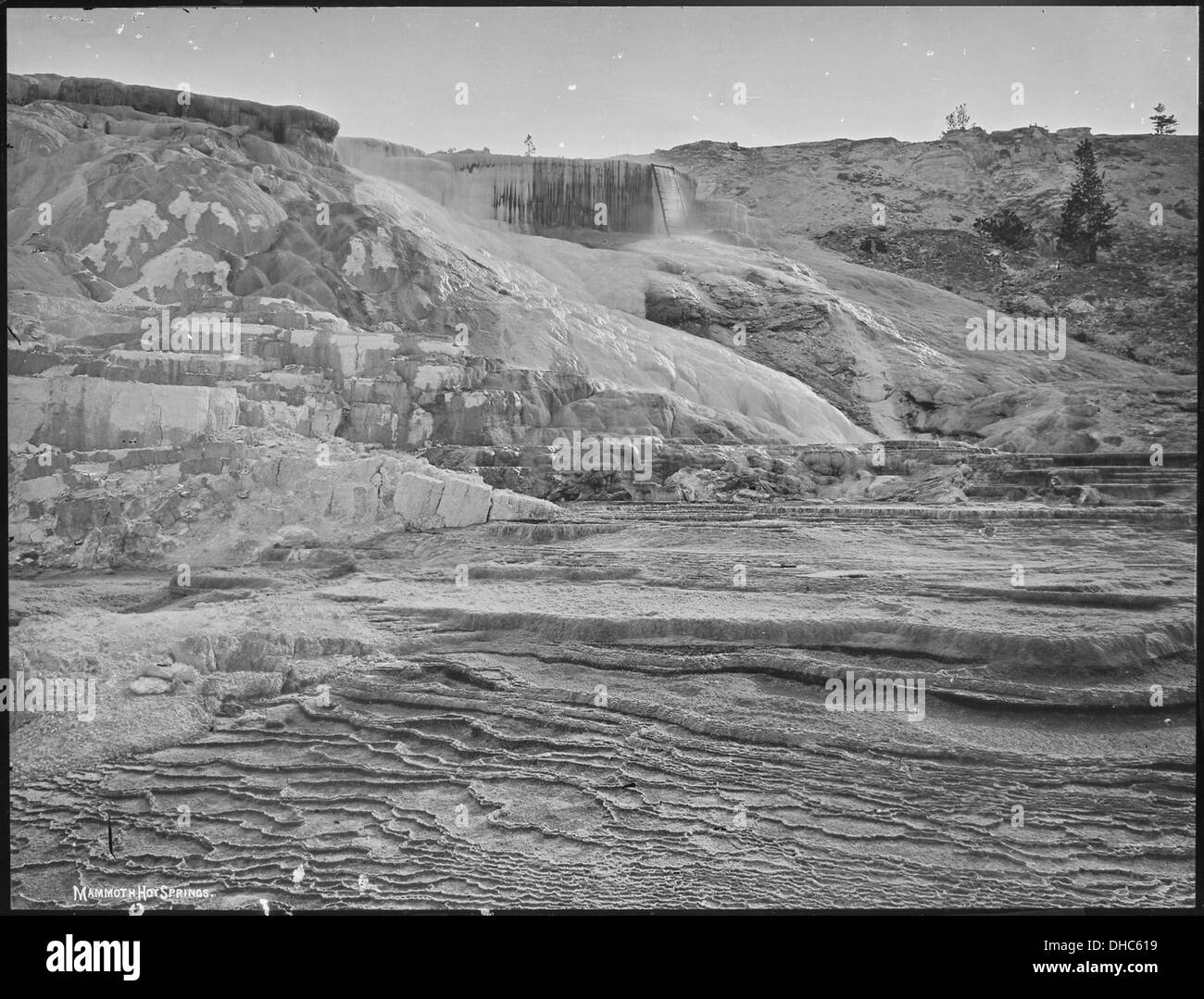 A view of Jupiter Terrace from below, located at Mammoth Hot Springs in ...