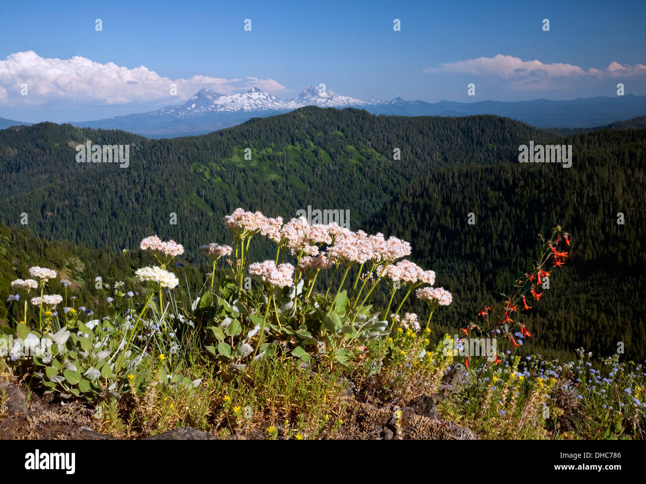 Three sisters mountains oregon hi-res stock photography and images - Alamy