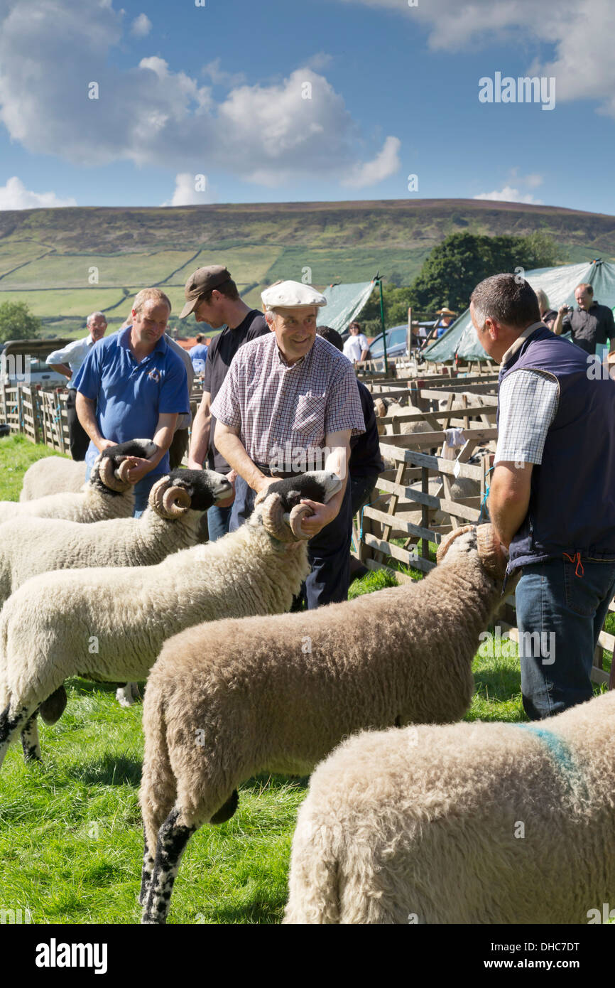 Farndale Annual Show 2013 Stock Photo - Alamy
