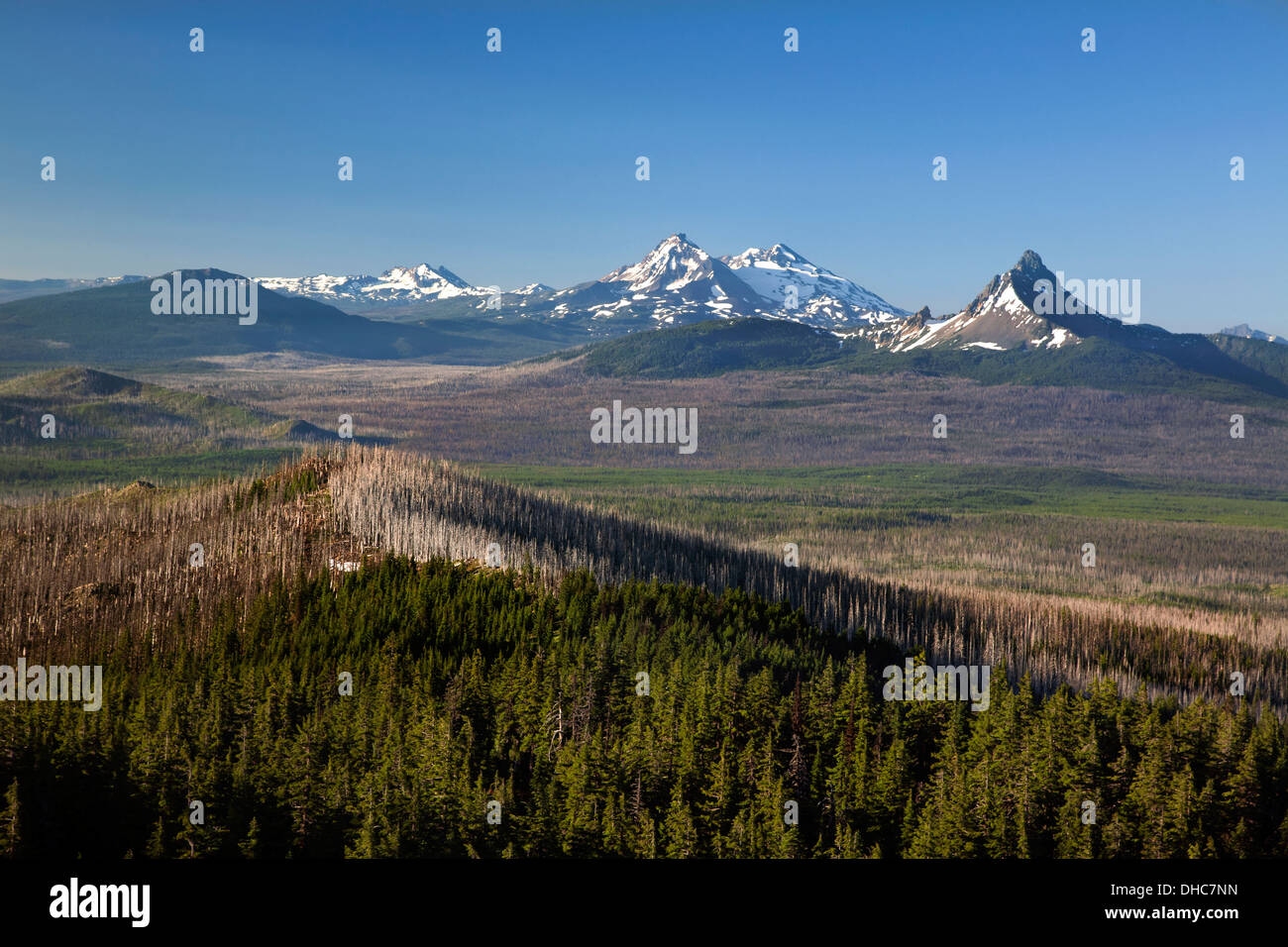 Mount Washington, Three Sisters and remnants of a massive forest fire ...