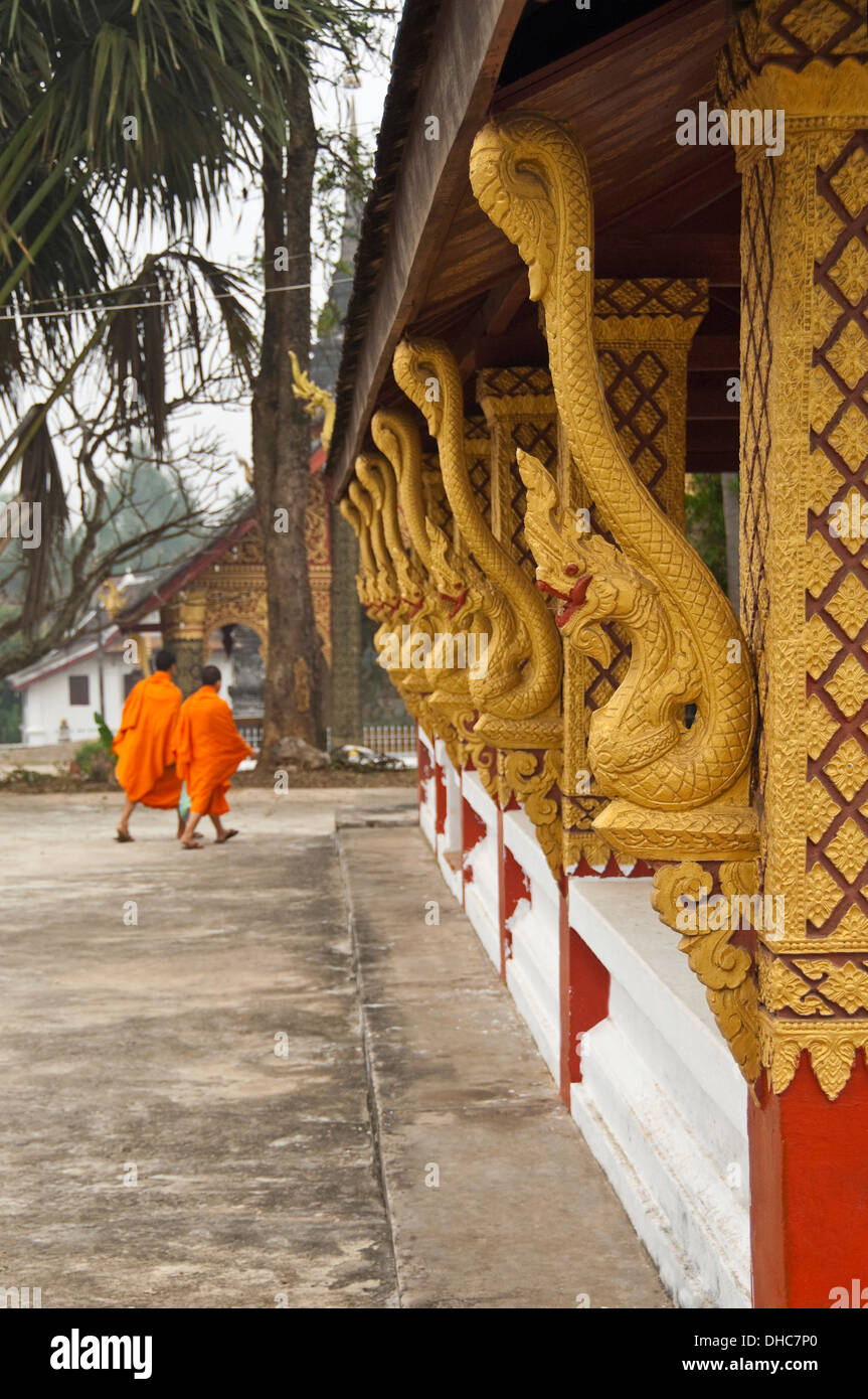 Vertical view of Buddhist monks in their saffron robes walking passed ...