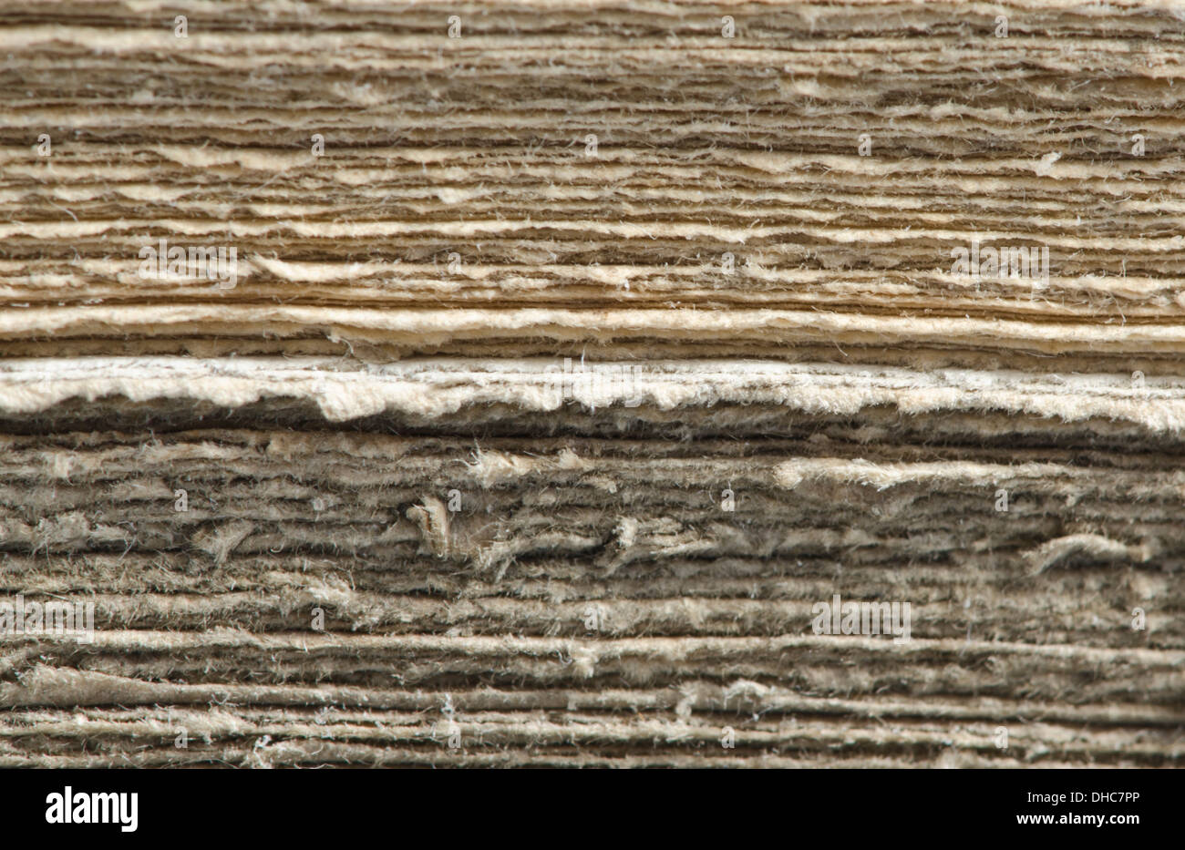 Macro of a book's text block in the process of being cleaned Stock ...