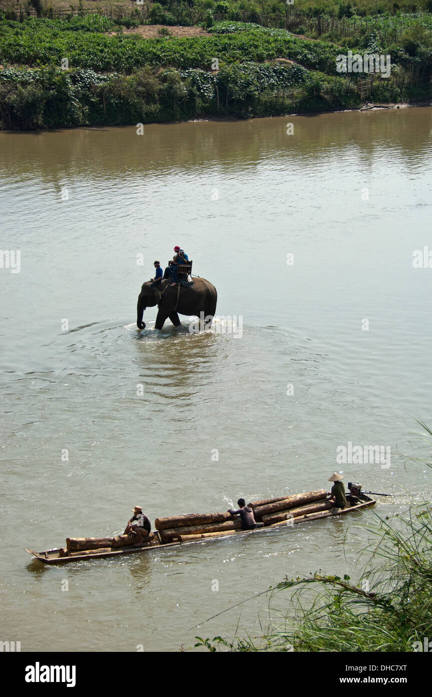 Vertical view of an elephant trekking along a river with a logging boat ...