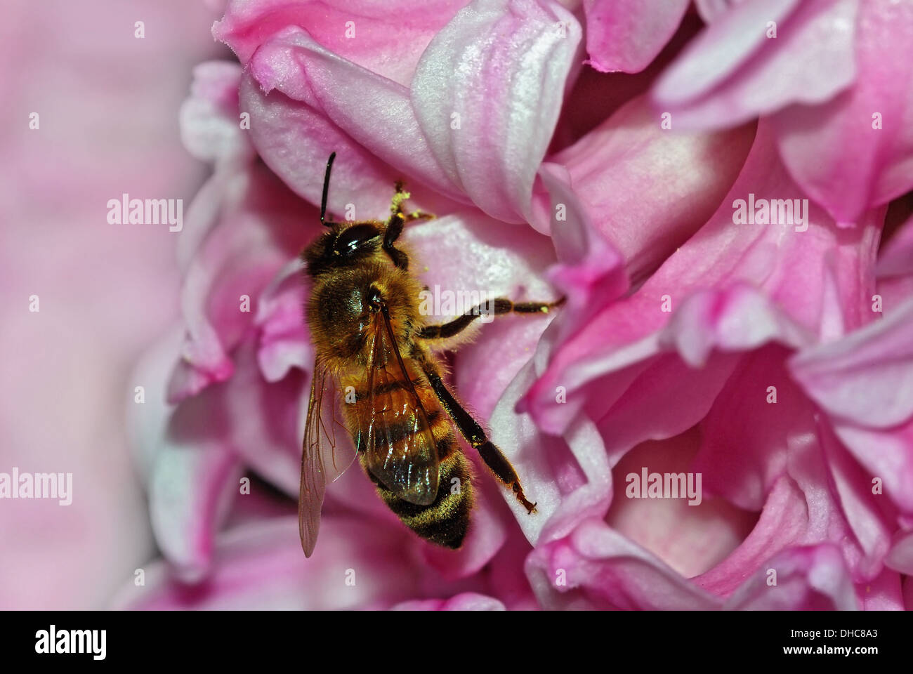 Worker spring hi-res stock photography and images - Alamy