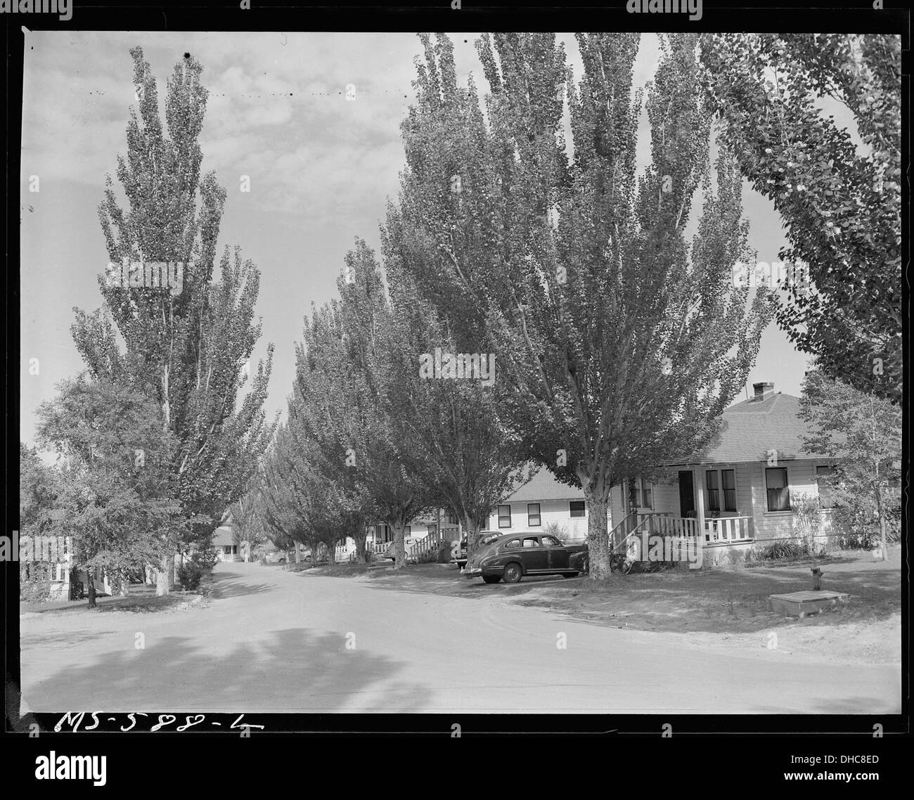 A housing project for miners at the Columbia Steel Company and Columbia ...