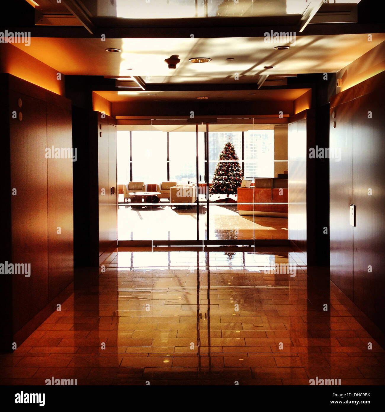 Corporate Hallway and Office Lobby with Christmas Tree Stock Photo - Alamy