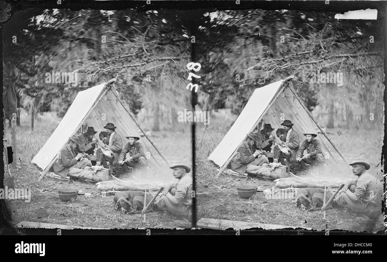 This image includes Stevenson, Turnbull, Elliott, Branson, and Potato ...