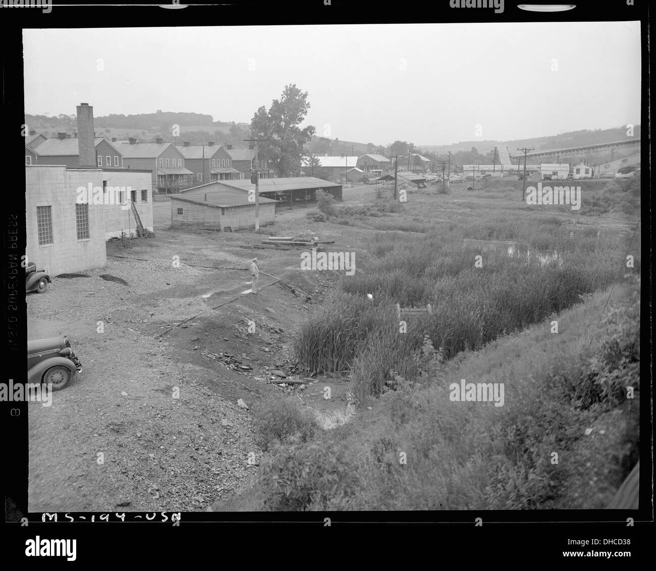 A swamp located on the grounds of the Buckeye Coal Company’s Nemacolin ...