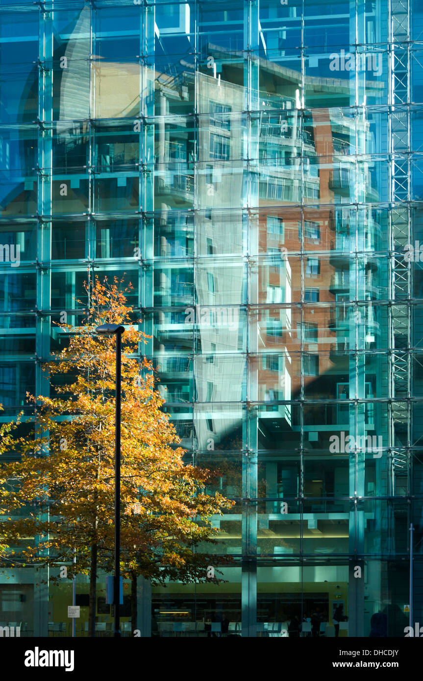 Tree reflection glass hi-res stock photography and images - Alamy