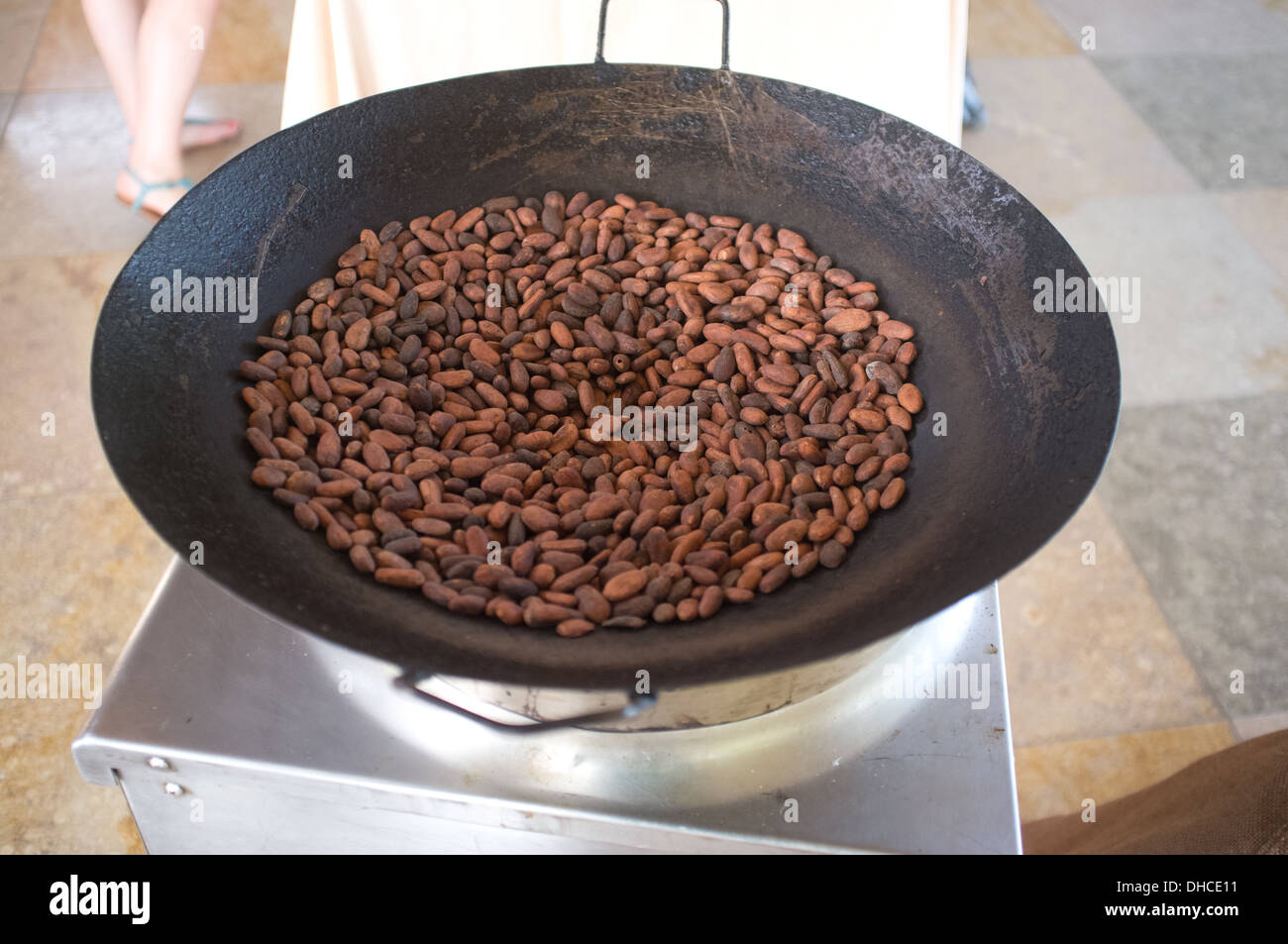 Costa Rican cocoa beans Stock Photo - Alamy