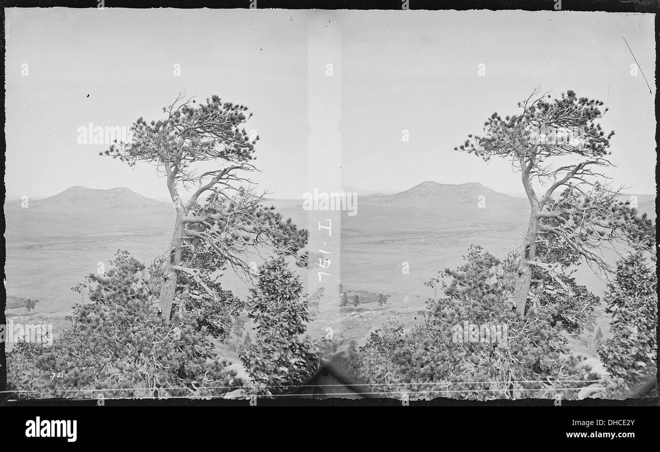 Study on flora lake hi-res stock photography and images - Alamy