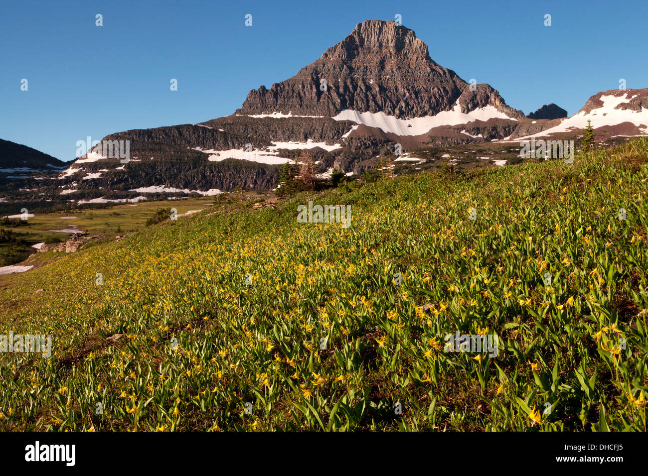 Logan pass glacier national park hi-res stock photography and images ...