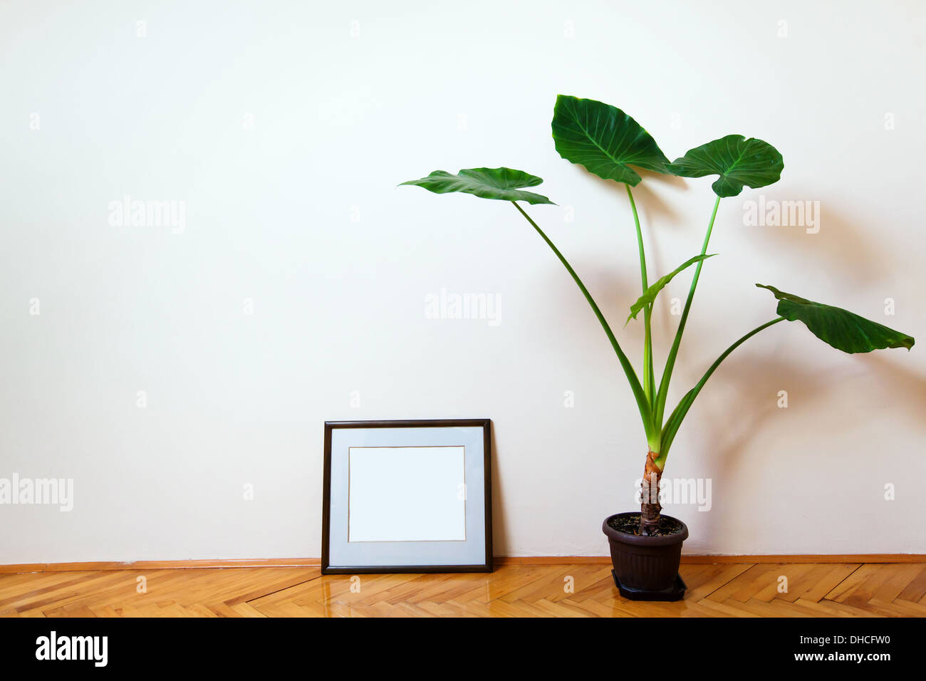 Room interior wall hi-res stock photography and images - Alamy