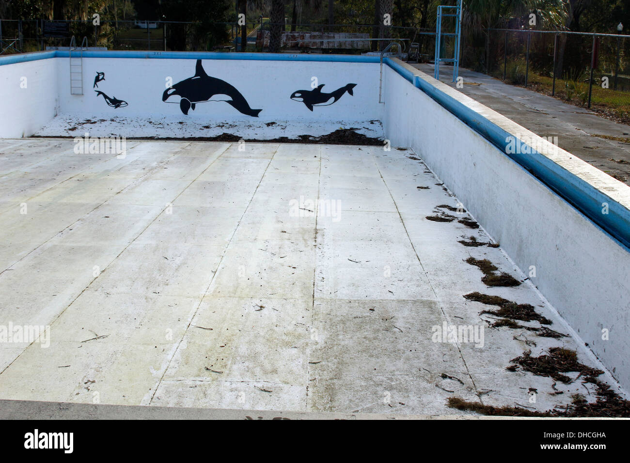 Empty disused swimming pool in Davenport, Florida, 5th November 2013 ...