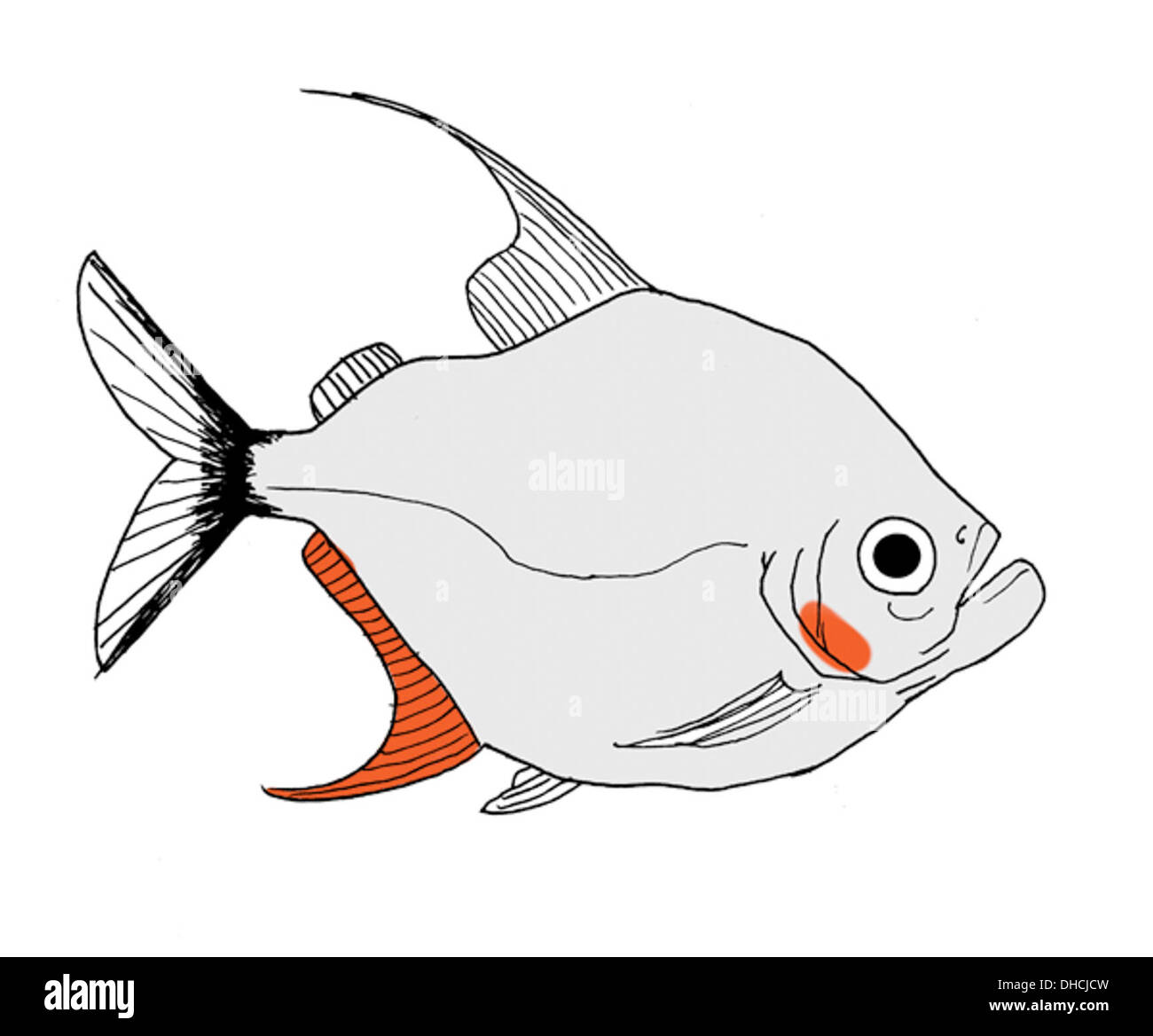 Mento mento hi-res stock photography and images - Alamy