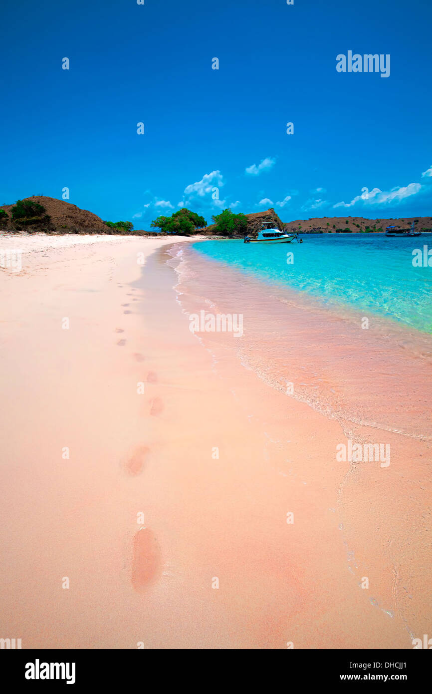 Pink beach flores hi-res stock photography and images - Alamy