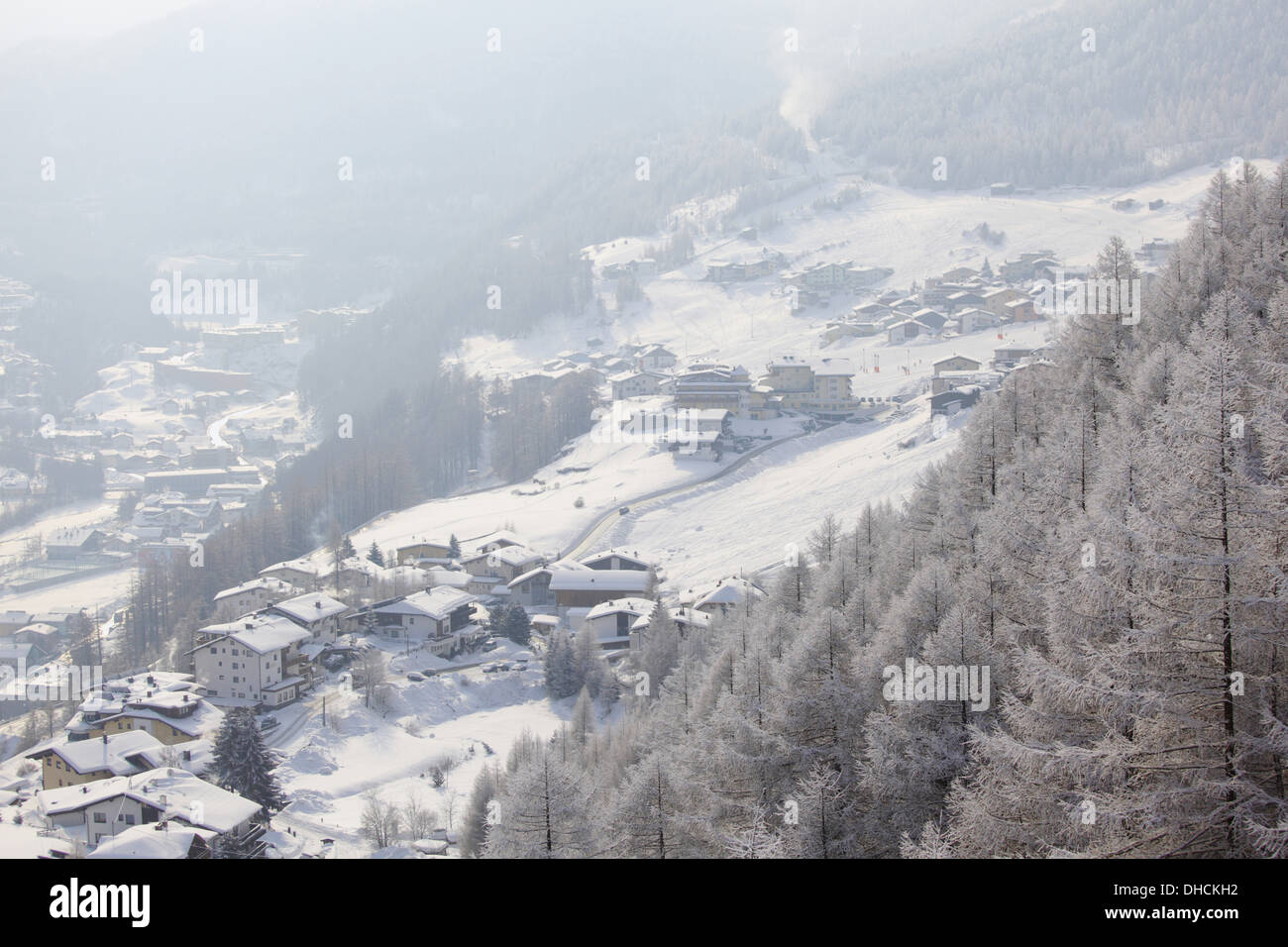 forest in snow an alpen top Stock Photo - Alamy