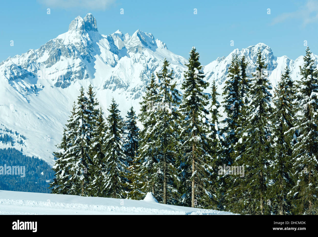 Winter mountain fir forest snowy landscape (top of Papageno bahn ...