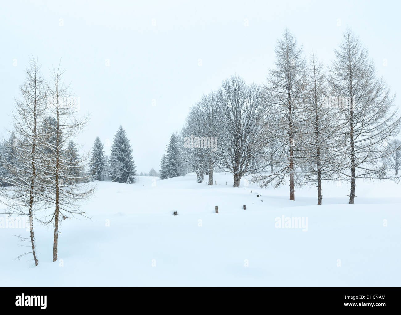 Winter mountain foggy dull day snowy landscape Stock Photo - Alamy