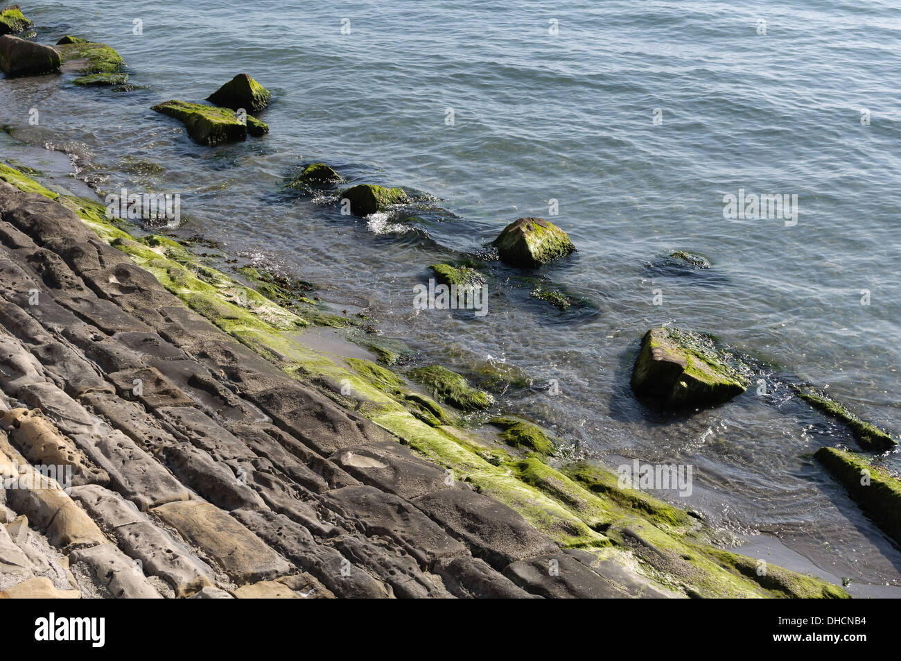 Breakwater rocks covered with green seaweed Stock Photo - Alamy