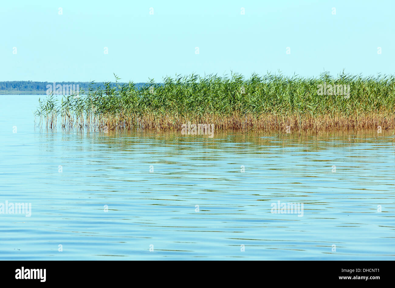 Shatsky national nature park hi-res stock photography and images - Alamy