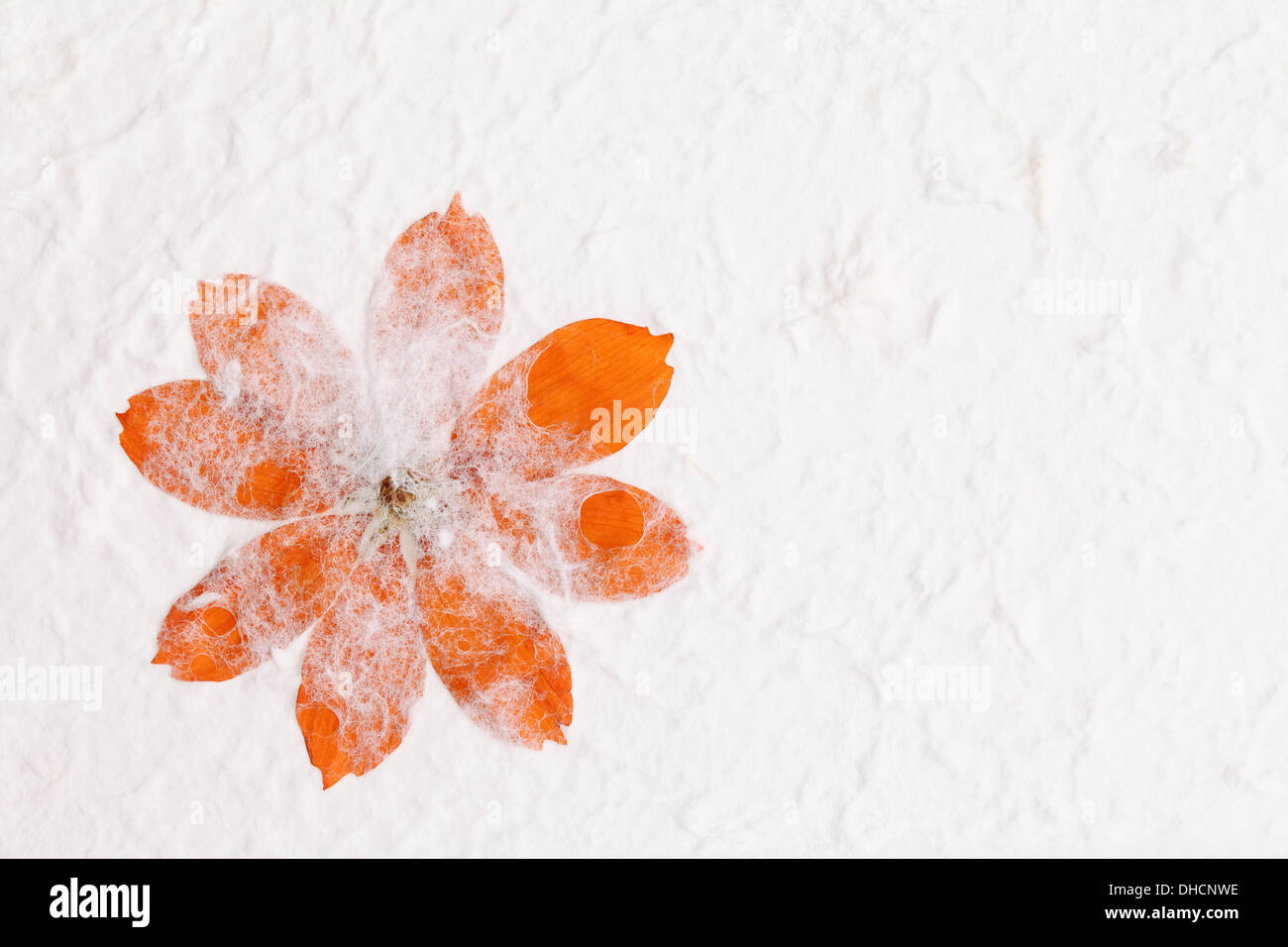 Handmade rice paper, texture background Stock Photo - Alamy