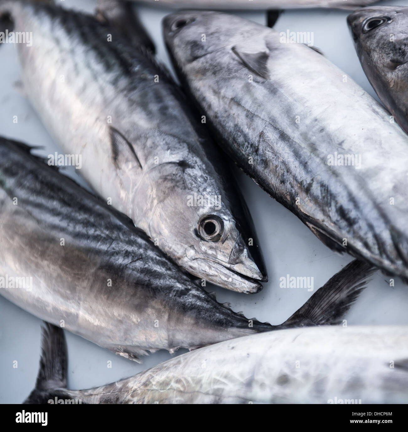 Silver raw hi-res stock photography and images - Alamy