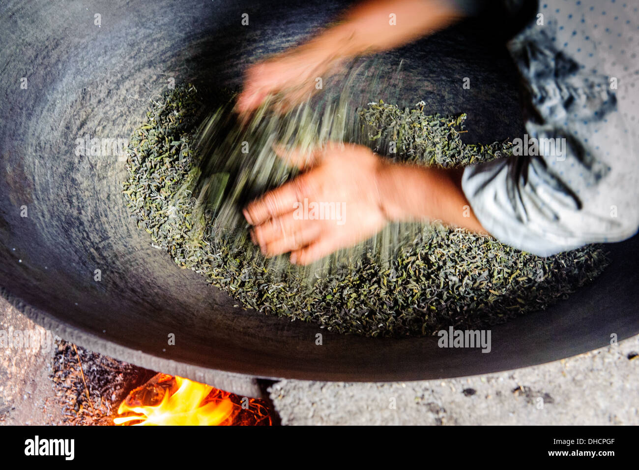 Pan Drying Tea Stock Photo - Alamy