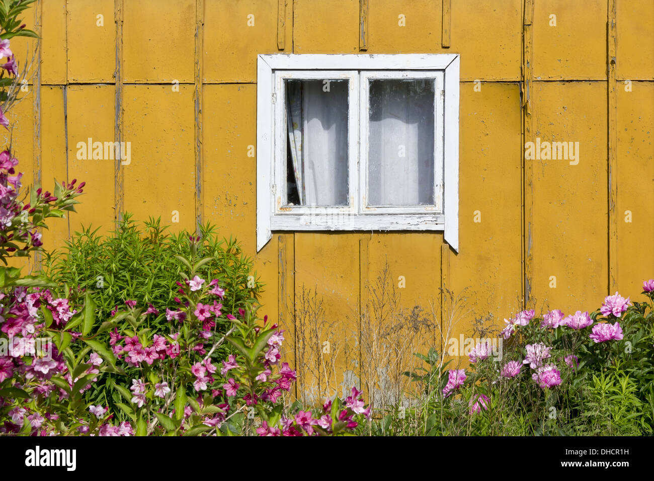 Flower wall texture hi-res stock photography and images - Alamy