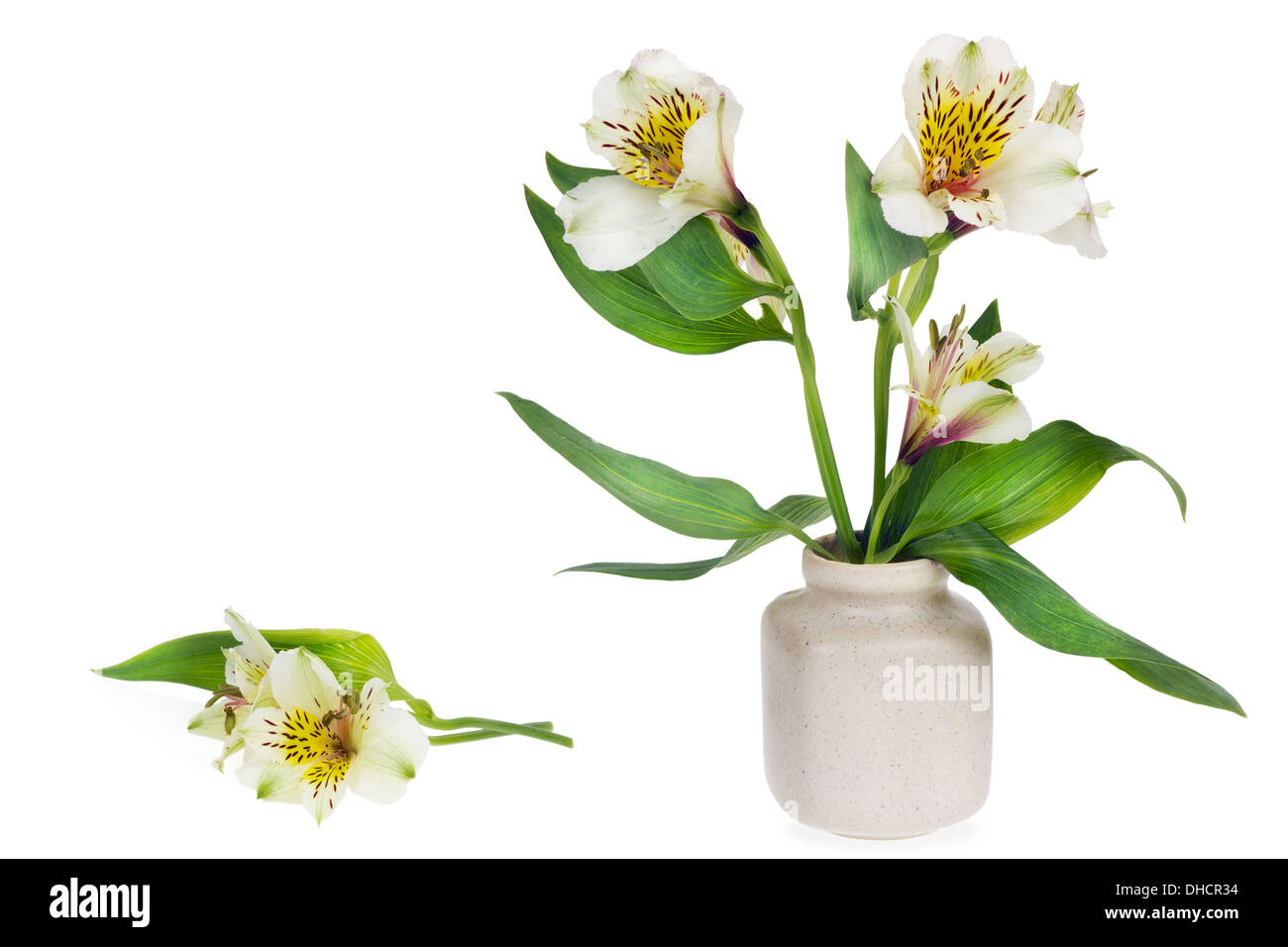 Wildflower bouquet pink Cut Out Stock Images & Pictures - Alamy