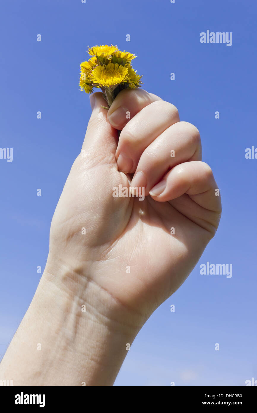 Hand spring hi-res stock photography and images - Alamy