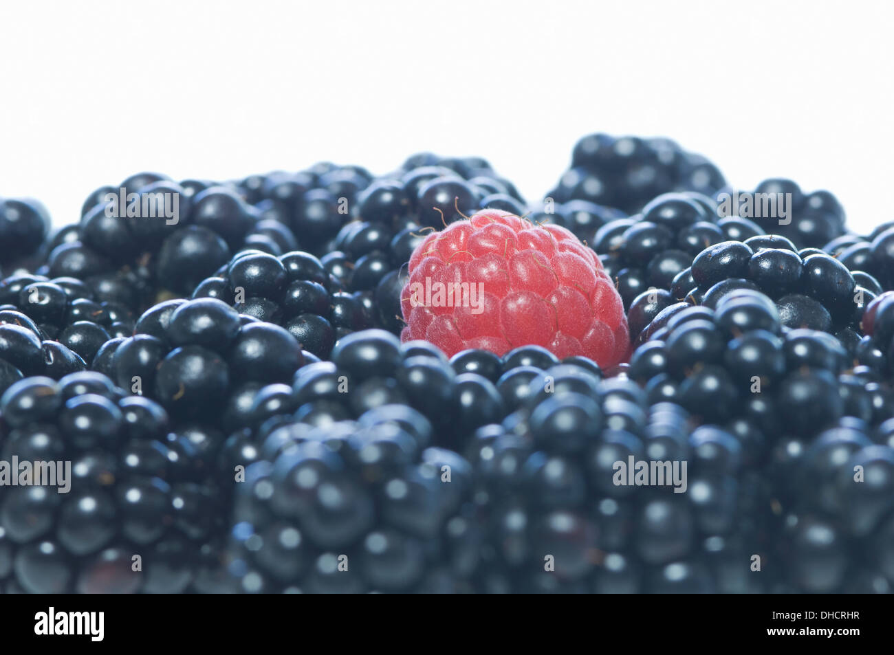 Raspberry on pile of blackberries, studio shot Stock Photo - Alamy