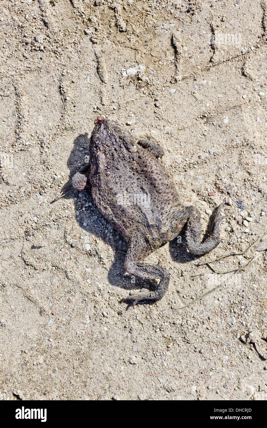 Crushed hi-res stock photography and images - Alamy