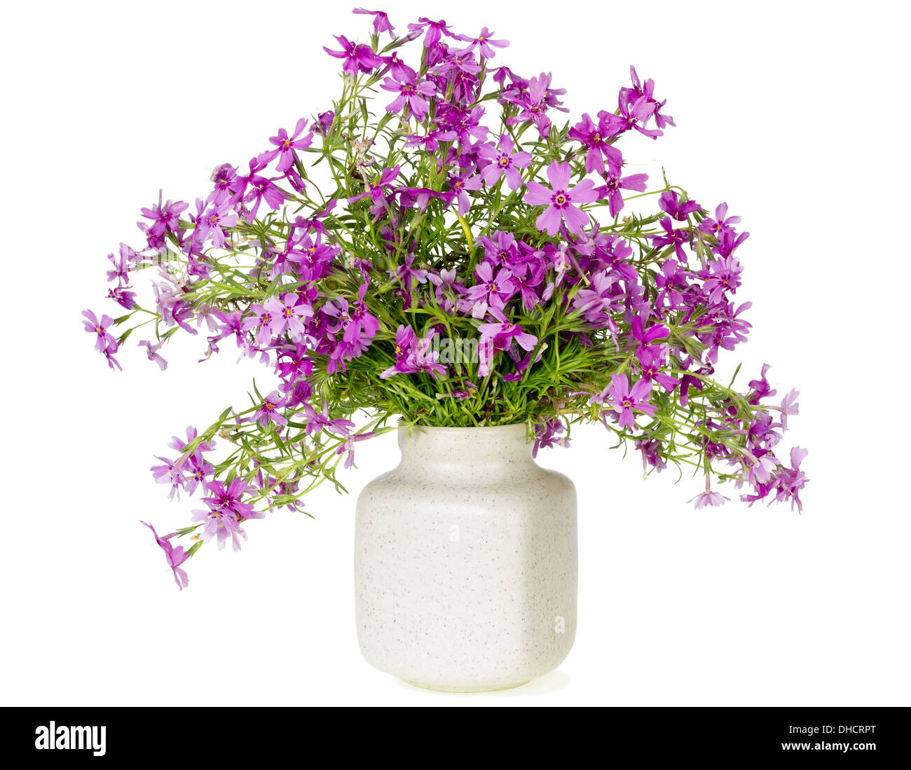 Simple gentle hi-res stock photography and images - Alamy