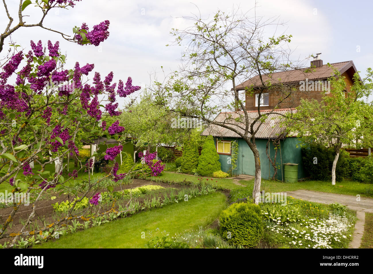 Garden awakening hi-res stock photography and images - Alamy