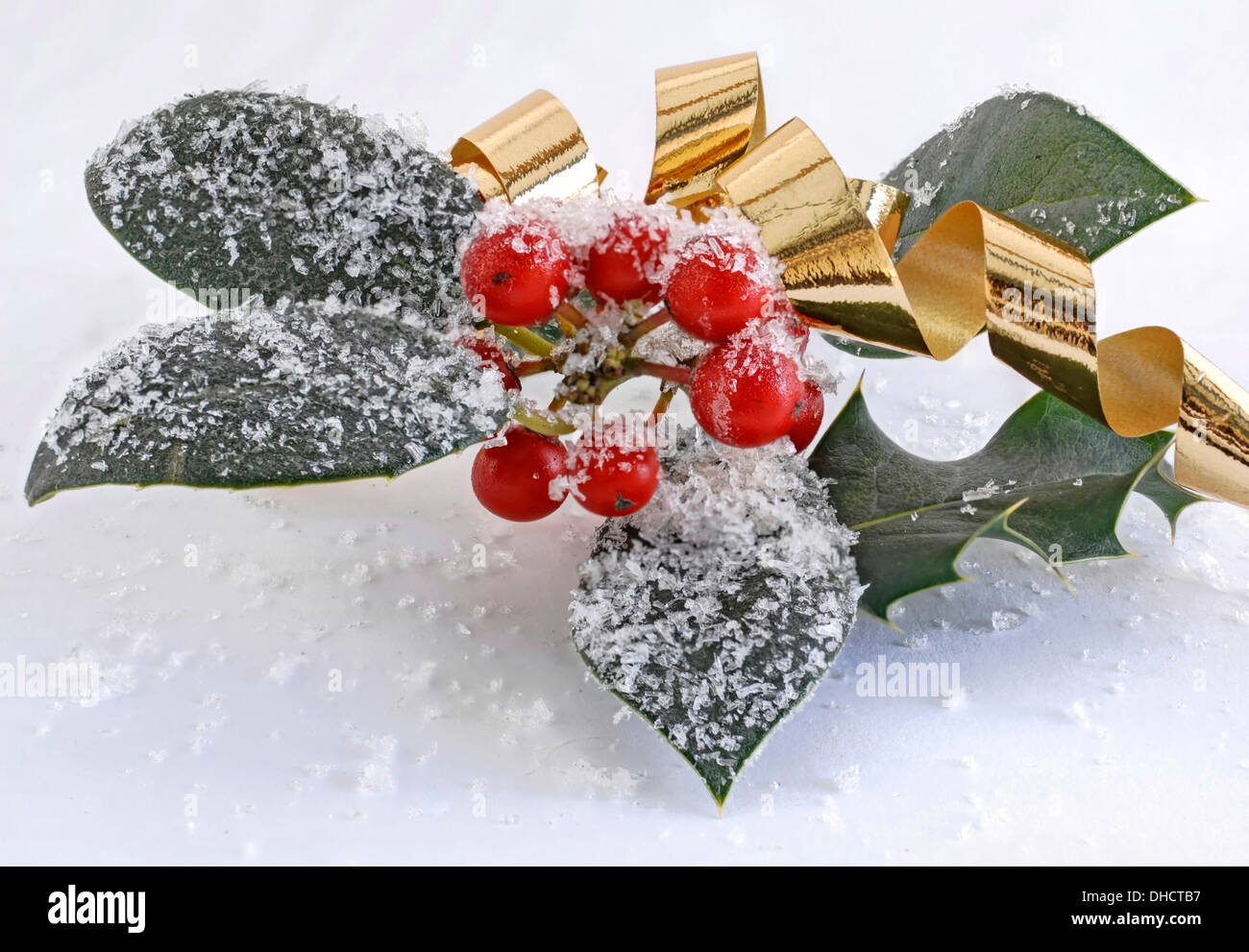 red holly berries with snow Stock Photo - Alamy