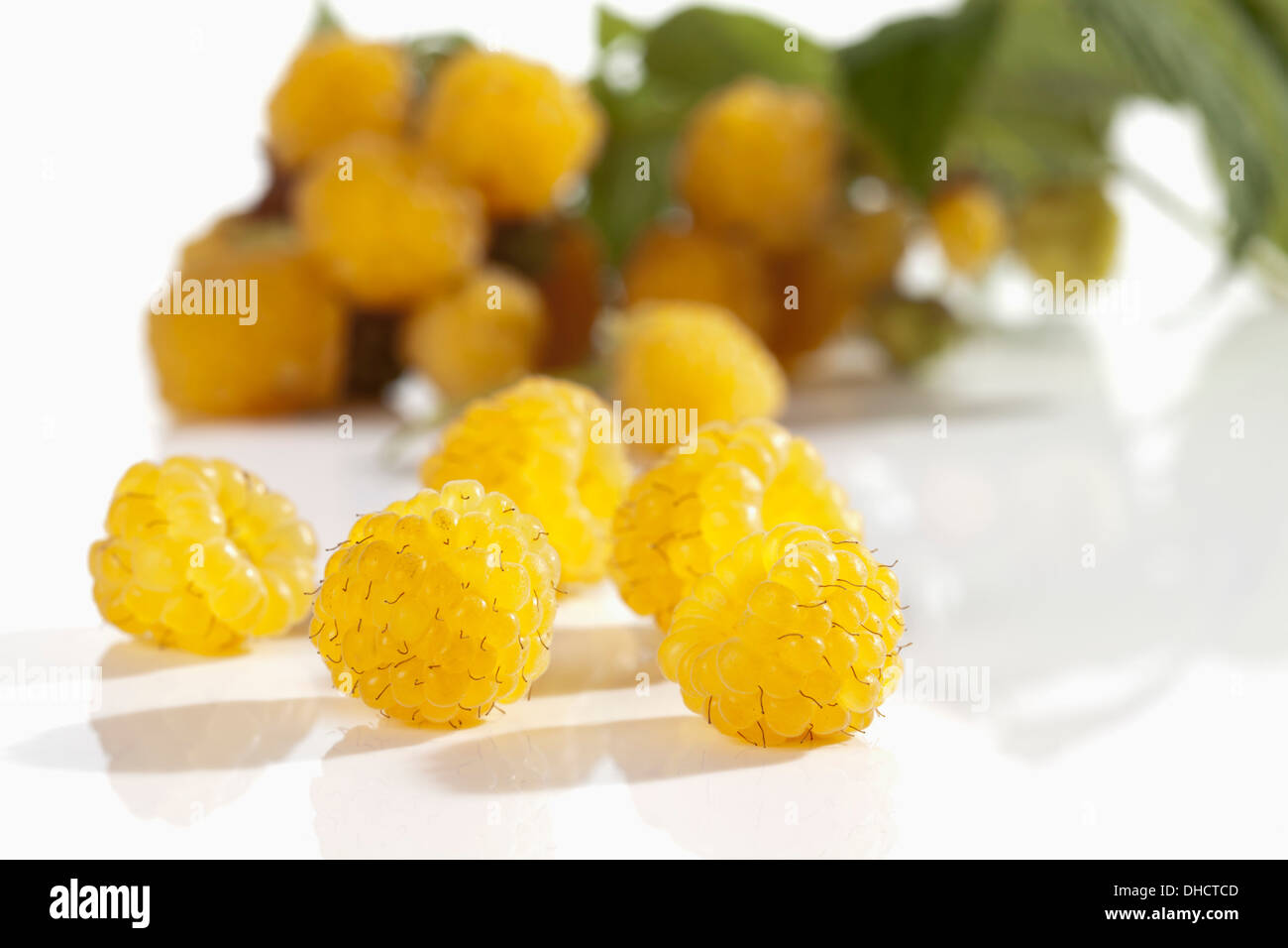 Yellow raspberries (Rubus idaeus), studio shot Stock Photo - Alamy