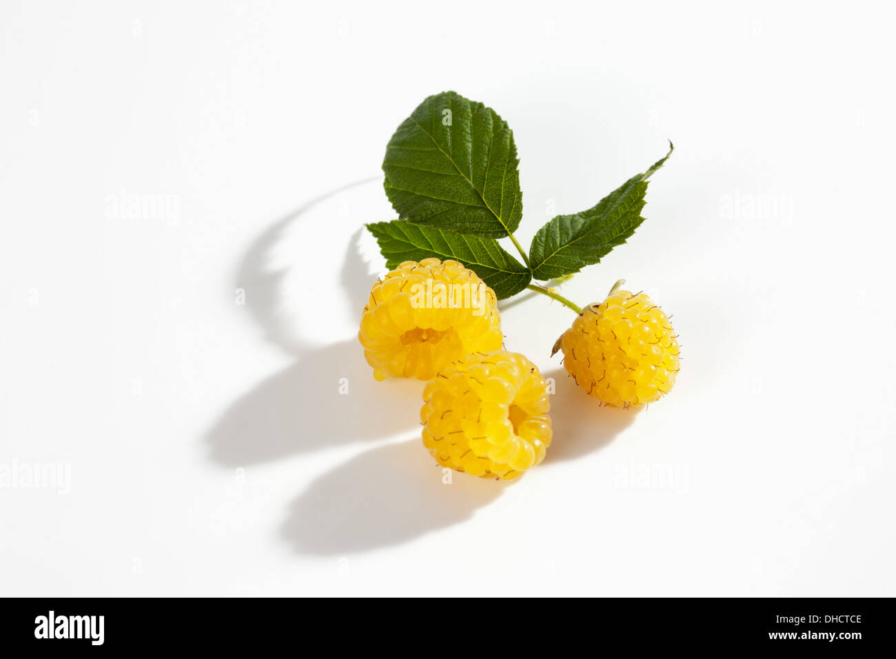 Three yellow raspberries (Rubus idaeus), studio shot Stock Photo - Alamy