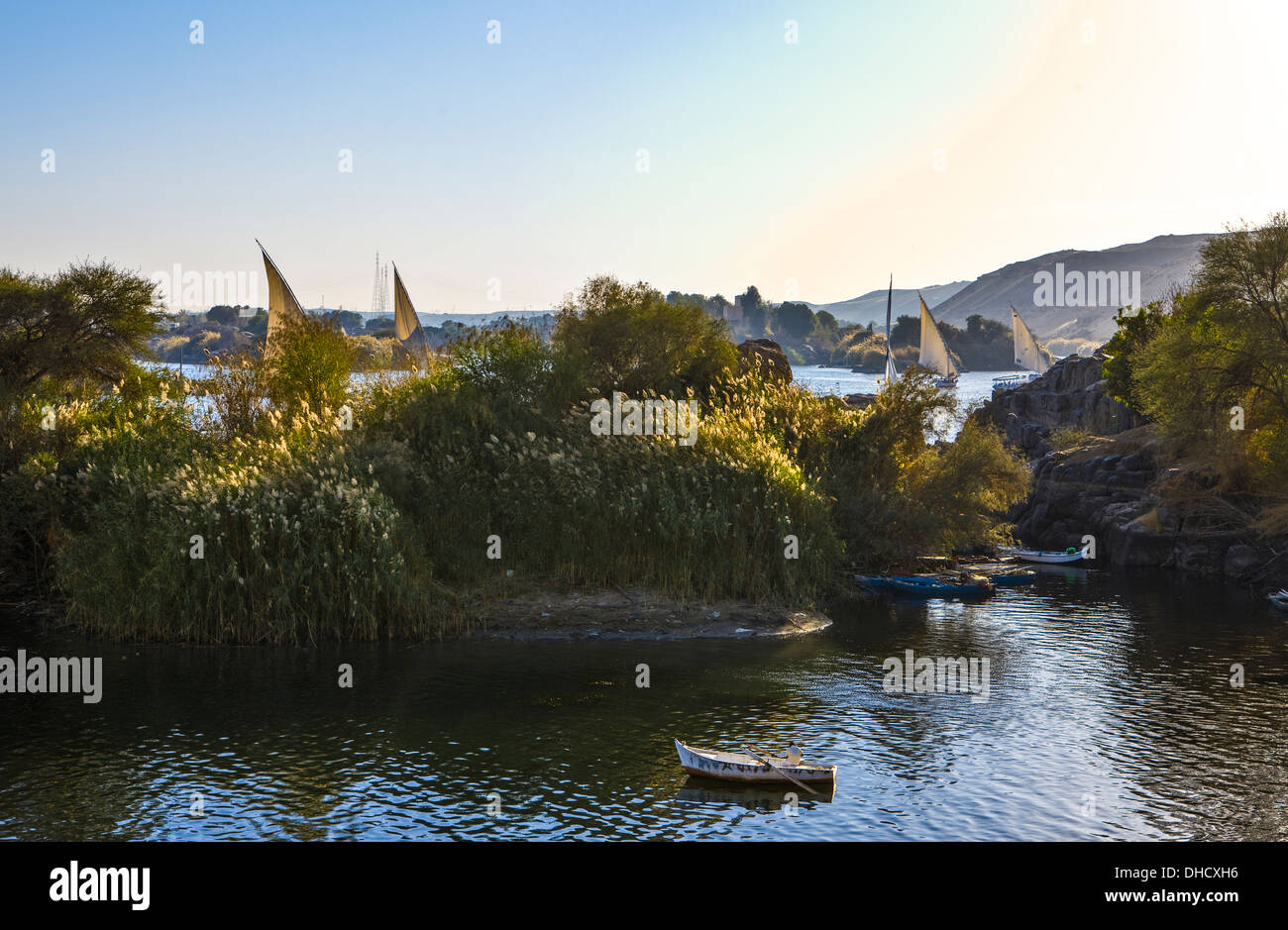 Africa Egypt, Aswan,view on the Nile river from botanic garden Stock ...