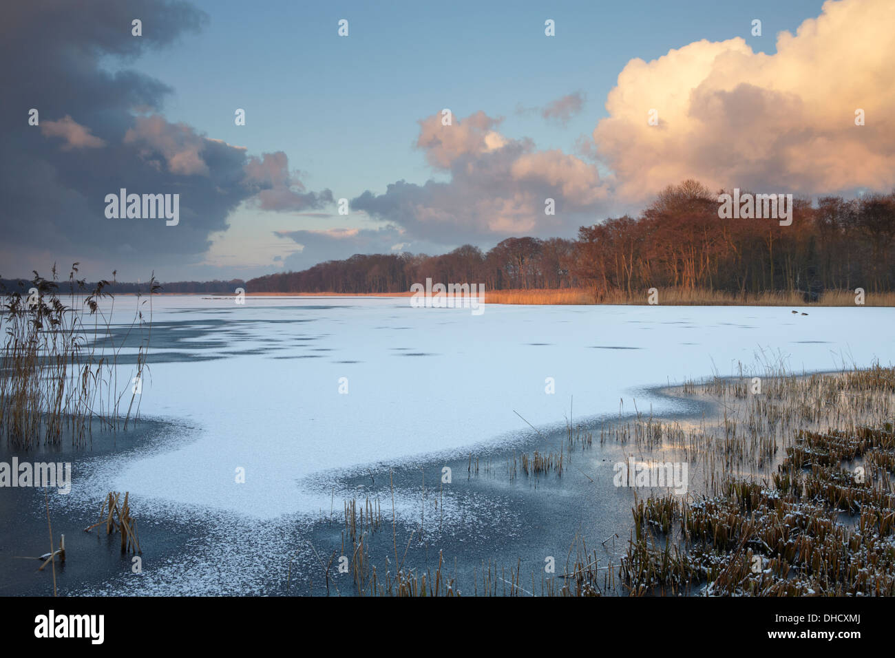 A winter day at Ormesby Little Broad at Filby in the Norfolk Broads ...