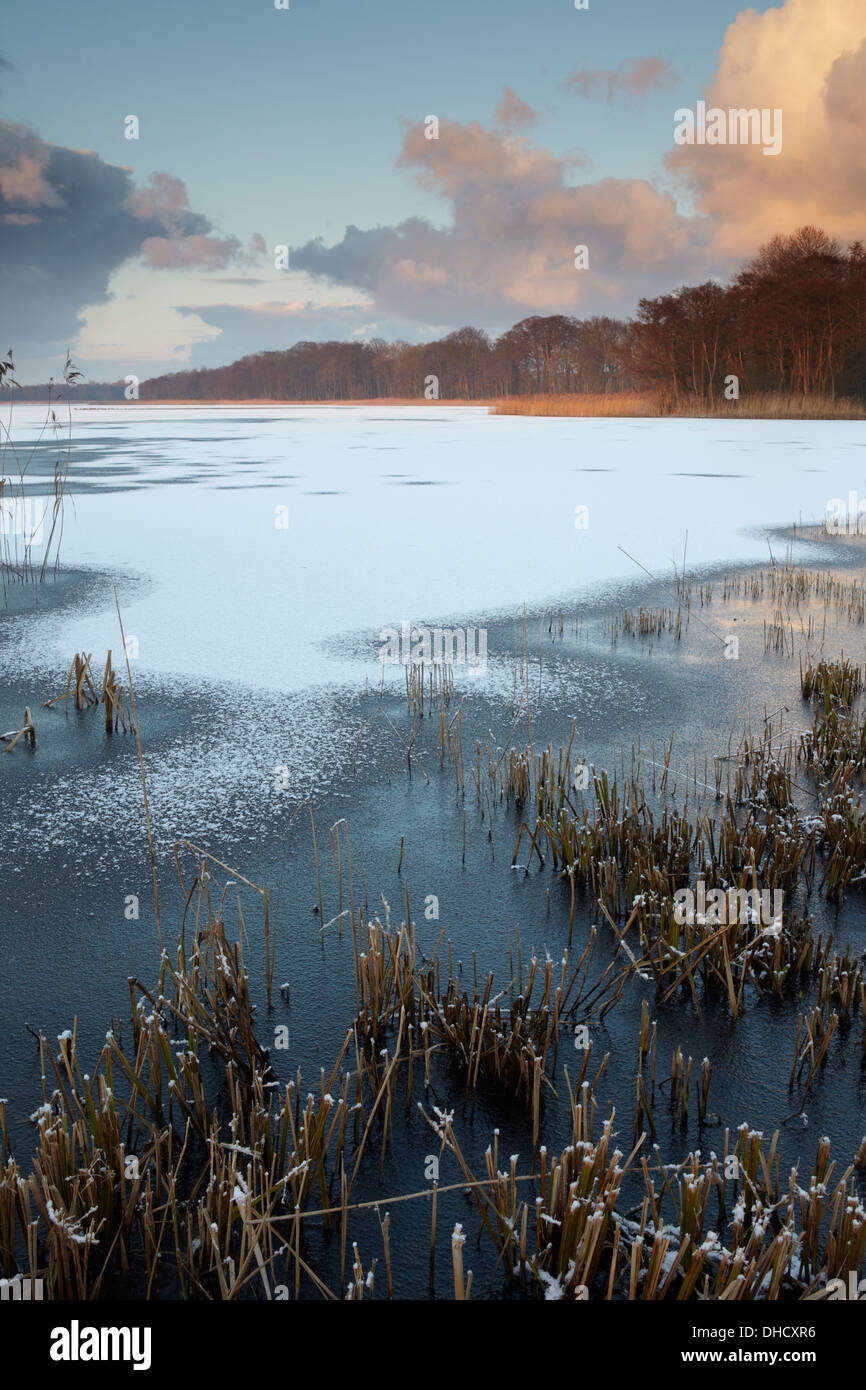 A view of Ormesby little Broad in the Norfolk Broads Stock Photo - Alamy