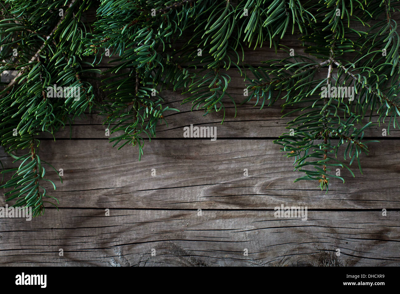 Fir tree hi-res stock photography and images - Alamy