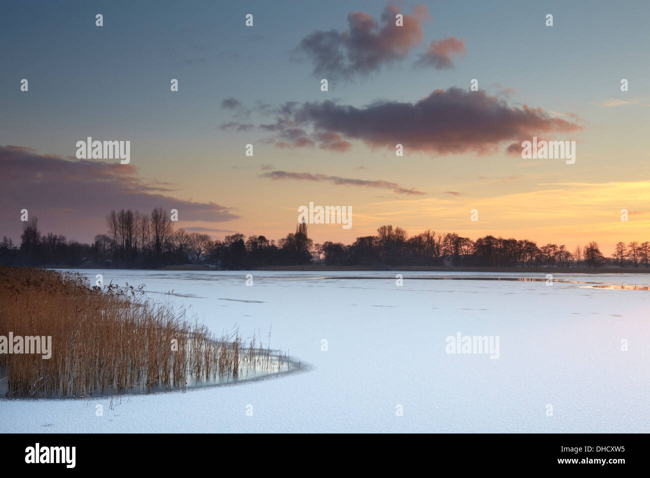 A view of Ormesby little Broad in the Norfolk Broads Stock Photo - Alamy