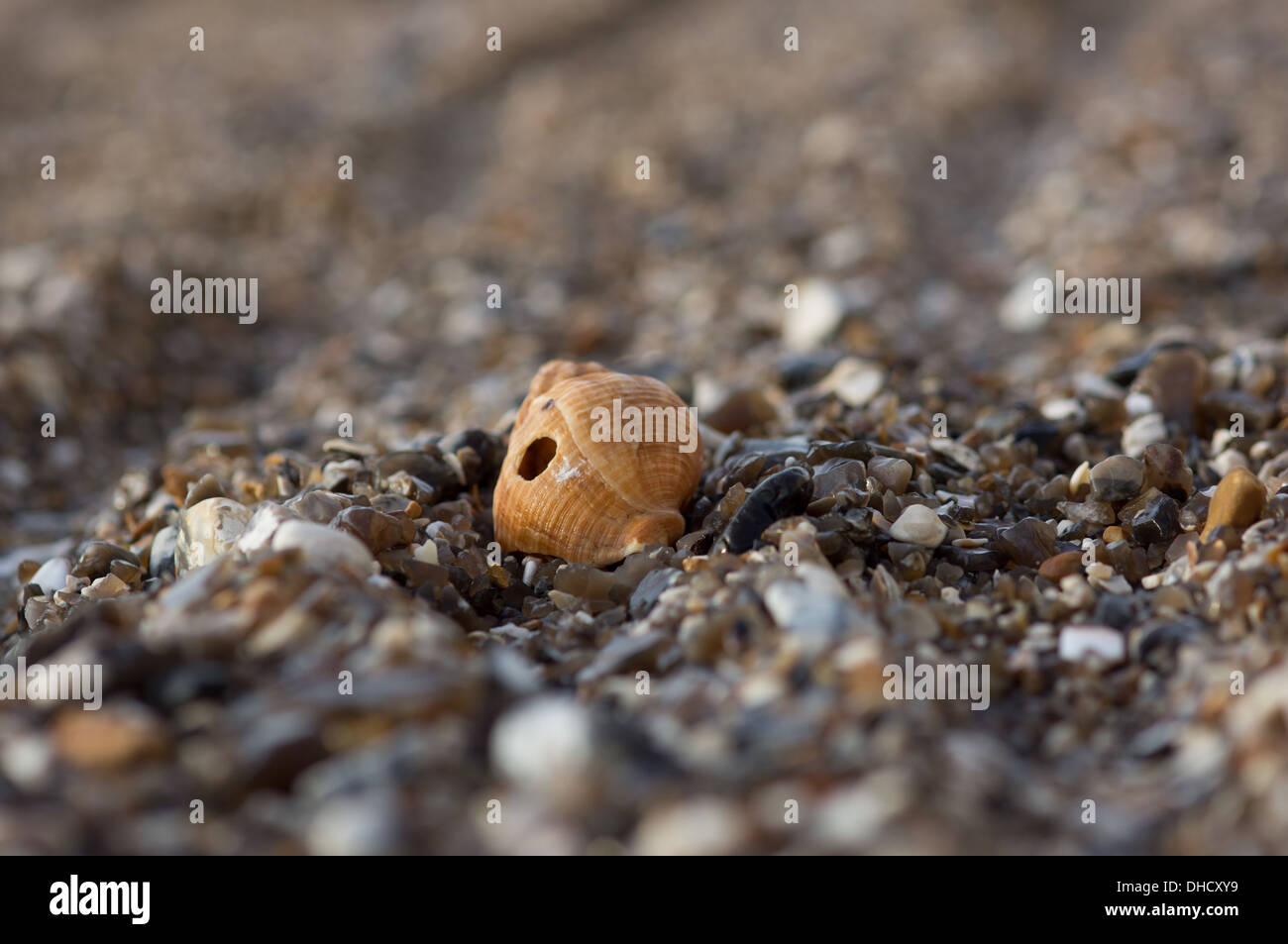 Shell hole hi-res stock photography and images - Alamy