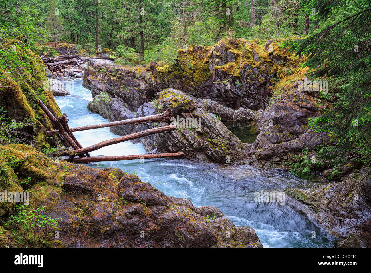Little qualicum river falls provincial park hi-res stock photography ...