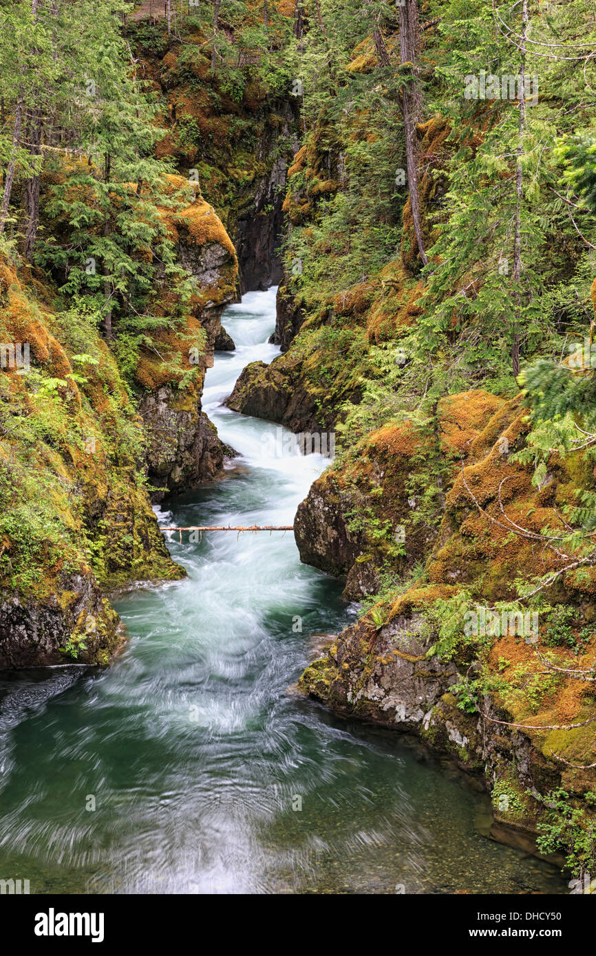 Little qualicum river falls provincial park hi-res stock photography ...