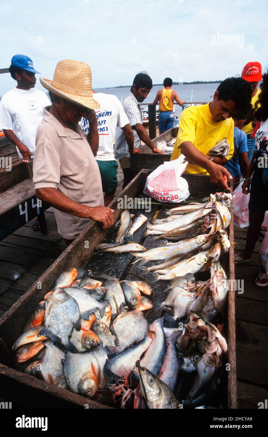 fish market, amazonas river, santarem, state of para, amazon region ...