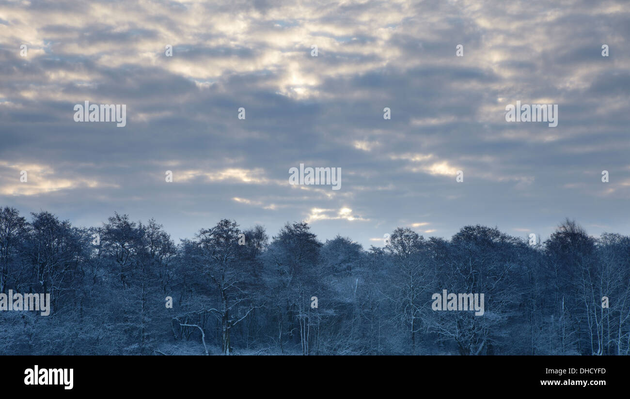 A winter scene from Strumpshaw Fen Nature Reserve near Norwich in the ...