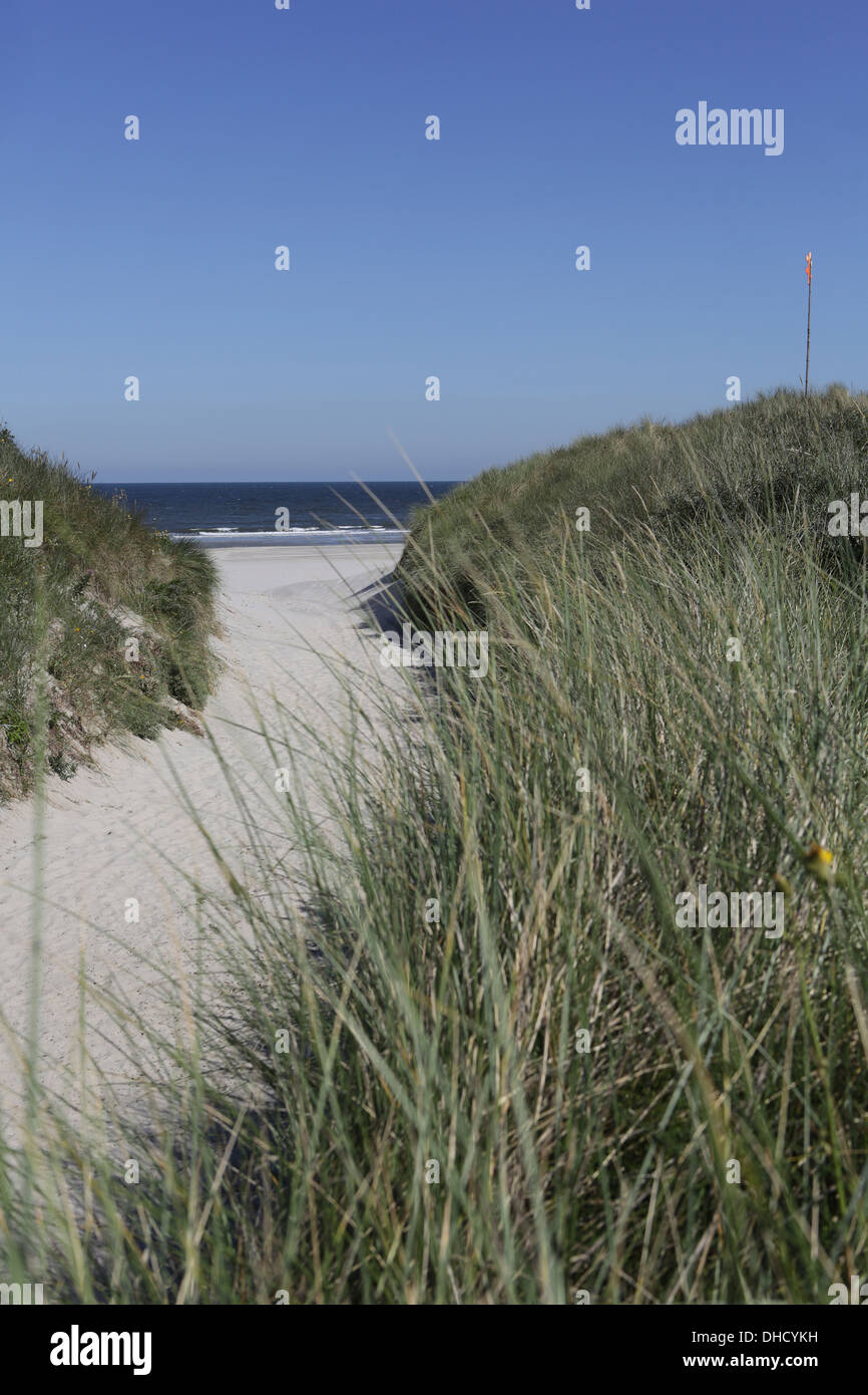 Germany, Lower Saxony, East Frisia, Langeoog, dune at the beach Stock ...